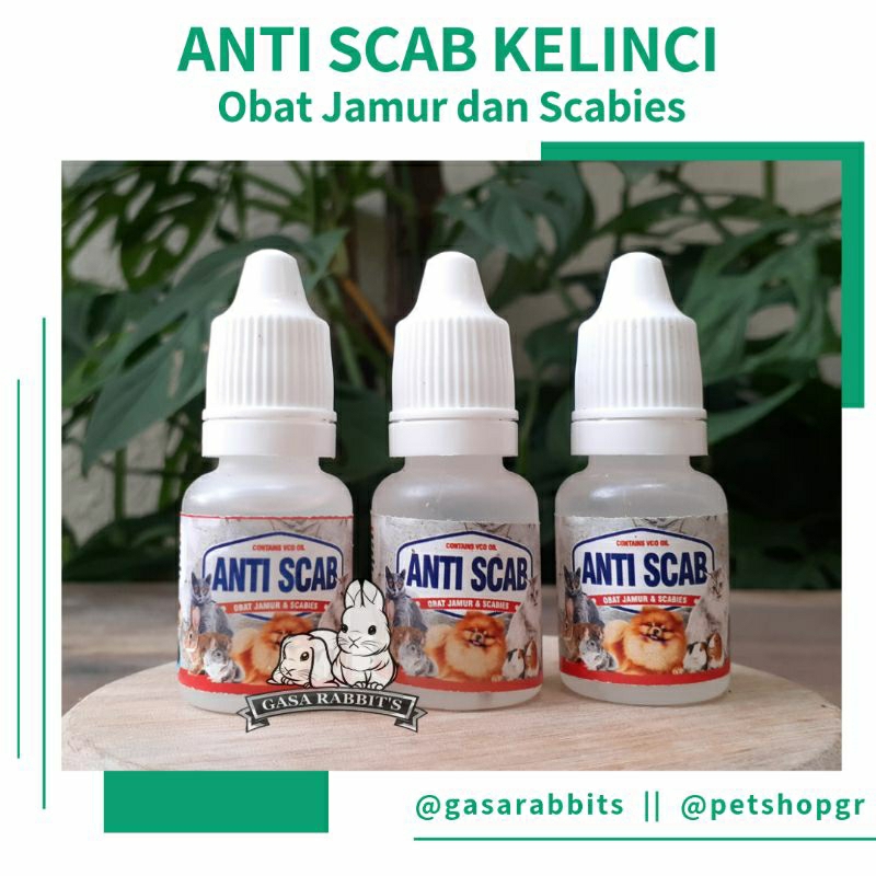 Jual OBAT SCABIES KELINCI - OBAT KELINCI SCABIES - ANTI SCABIES KELINCI ...