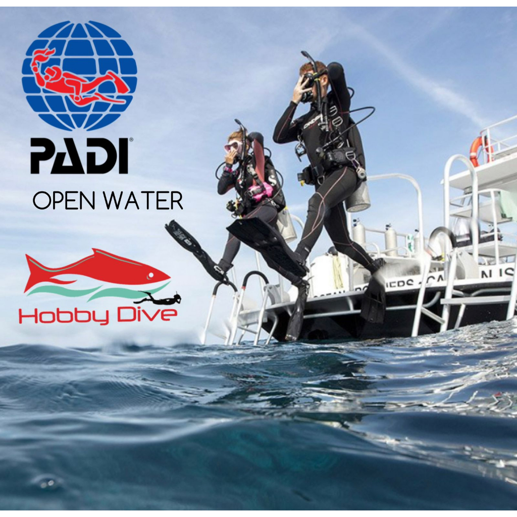 Jual PADI Open Water Course Belajar Menyelam PADI Kursus Diving ...