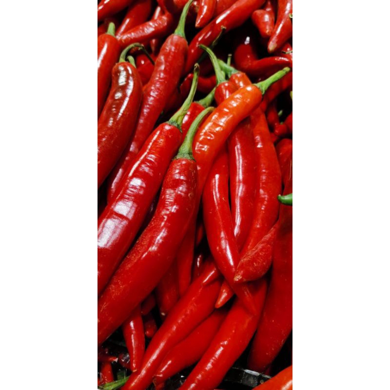 Jual Cabe Besar Merah 200 gr Cabai | Shopee Indonesia