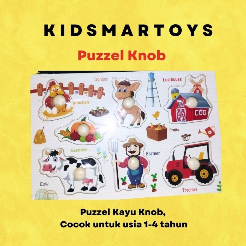Jual Mainan edukasi Anak Puzzel Knob Kayu | Shopee Indonesia