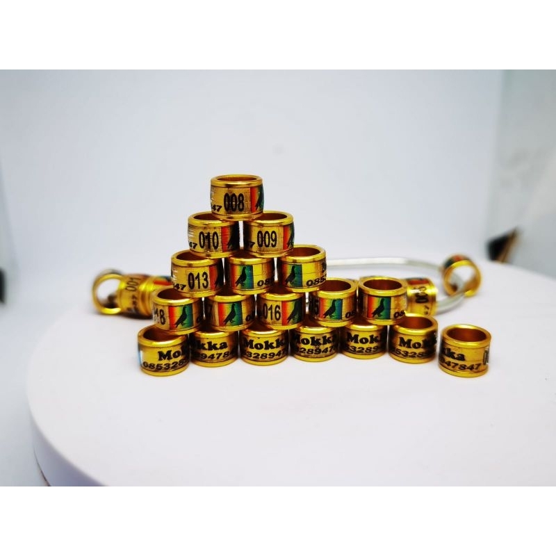 Jual RING BURUNG MODEL RODA STIKER BUAT MERPATI,MURAI BATU,PERKUTUT ...