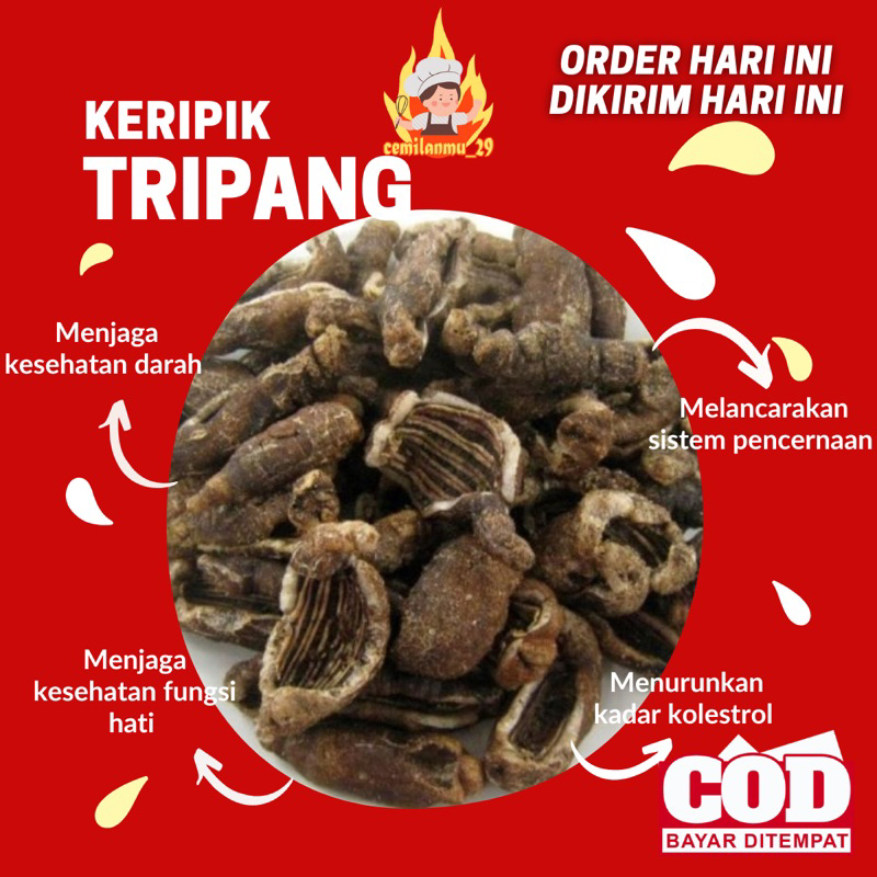 Jual (PROMO) MURAH CEMILAN KERIPIK Teripang Tripang Viral Populer ...