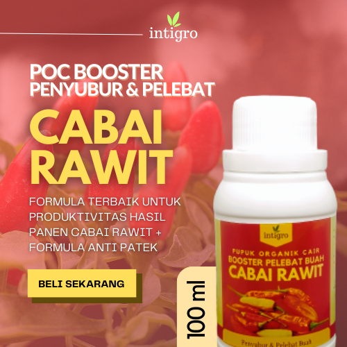 Jual Pupuk Cabe Berbuah Lebat / Pupuk Cabe Booster / Pupuk Cabe Rawit Agar Berbuah Lebat / Pupuk ...