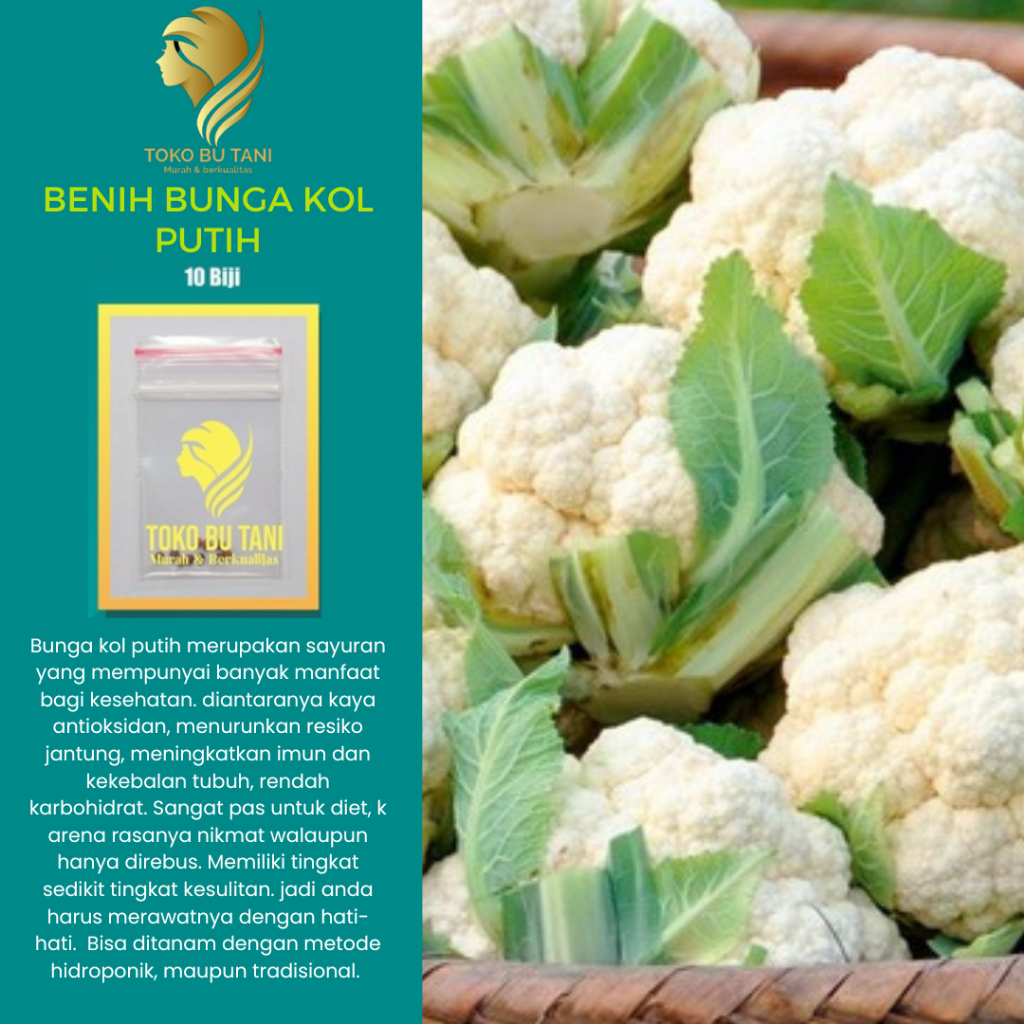 Jual BTN Benih Bunga Kol Putih Benih Sayuran Bibit Bunga Kol Unggul ...
