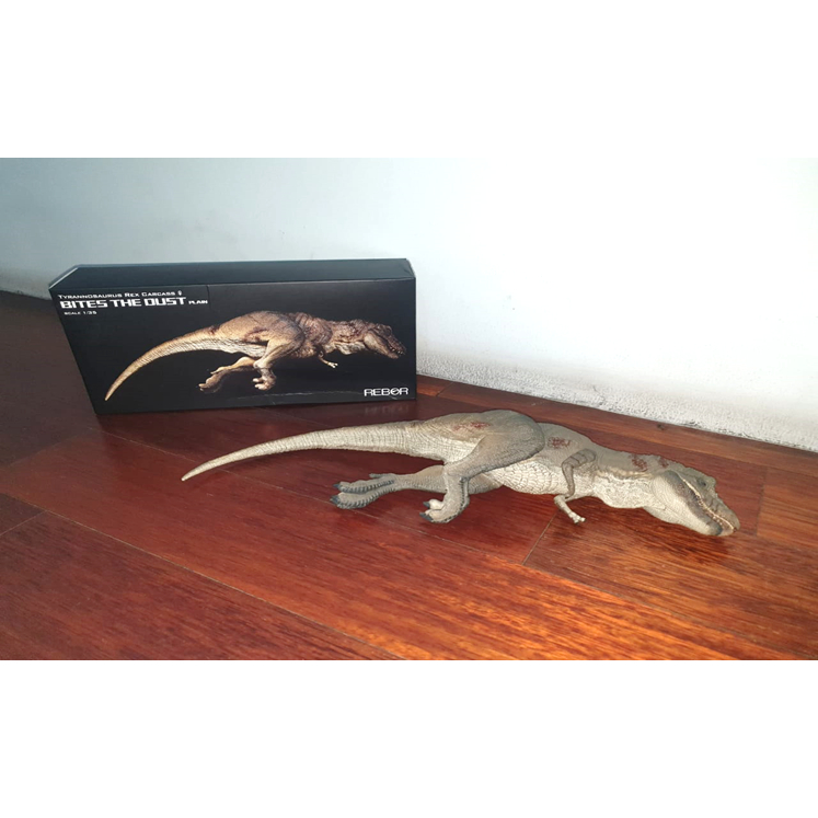 Jual REBOR Tyrannosaurus Rex "Bites The Dust" Plain Scale 1/35 | Shopee ...