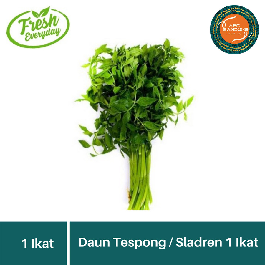 Jual Sayur Daun Tespong Sladren 1 Ikat | Shopee Indonesia