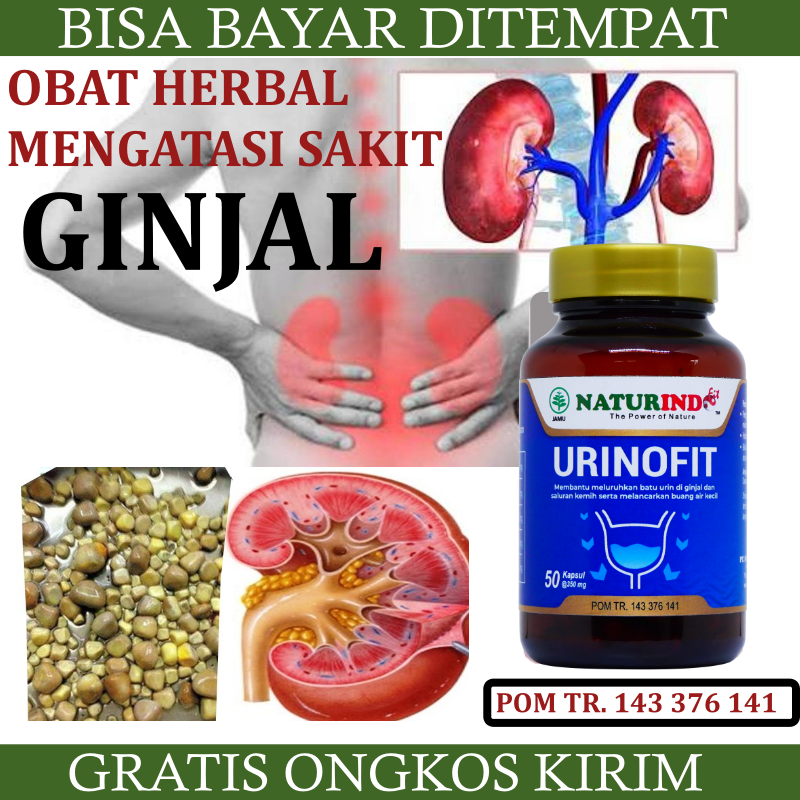 Jual Obat Ginjal Ampuh Infeksi ISK Kencing Batu Meluruhkan Batu Ginjal Urinofit Naturindo ...