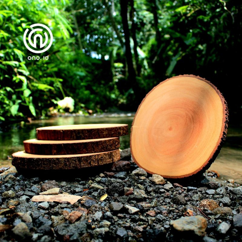 Jual Wood Slice 20 - 22cm | Tatakan Kayu Besar | Wooden | Coaster Kayu ...