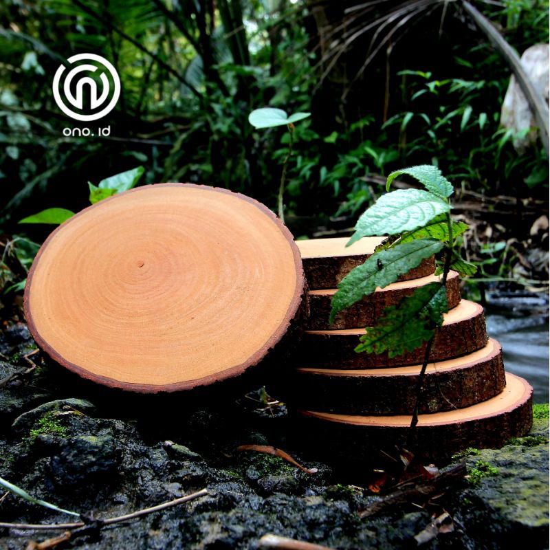 Jual Wood Slice 14 - 16cm | Buy 10pcs - Free 1pcs | Wooden | Coaster ...