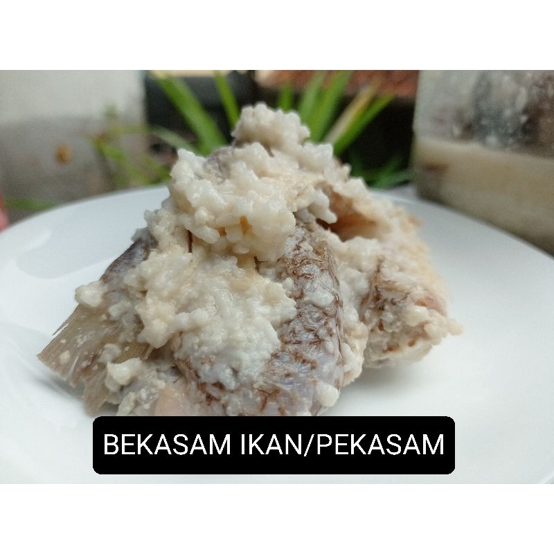 Jual BEKASAM IKAN/PEKASAM IKAN SUNGAI HIGIENIS KHAS PALEMBANG SUMSEL ...