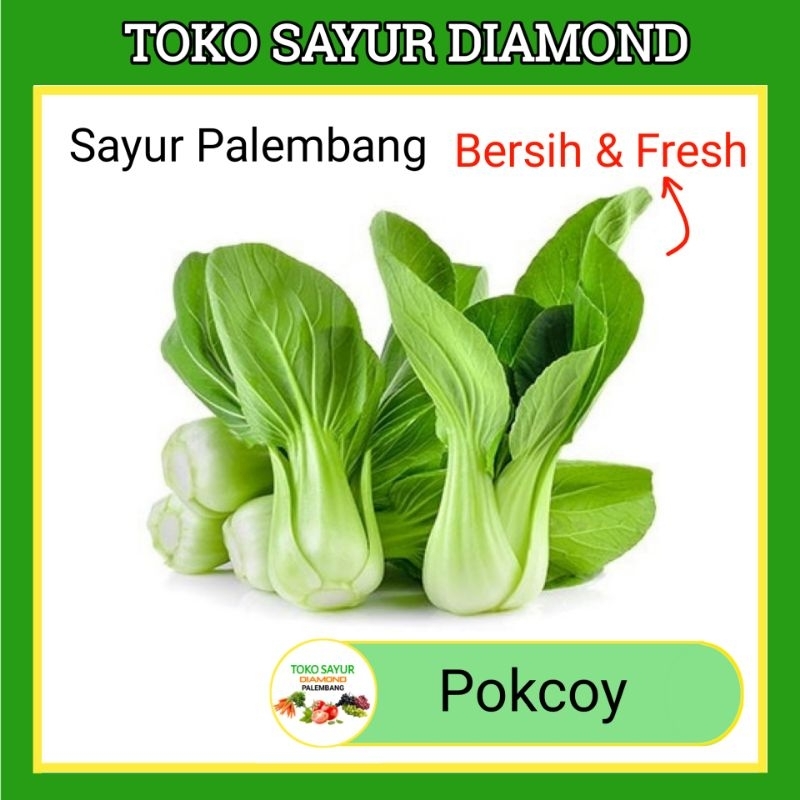 Jual Pokcoy pakcoy - Toko Sayur Segar Diamond Palembang | Shopee Indonesia