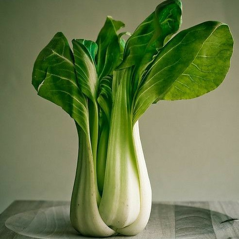 Jual Sayur Segar Pakcoy Pokcoy Coysam Sawi Sendok Bok Choy Pak Choy 100 ...