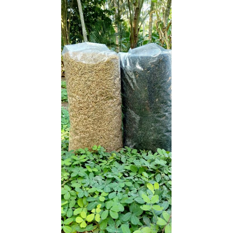 Jual sekam bakar kulit padi sekam padi media tanam hidroponik ...