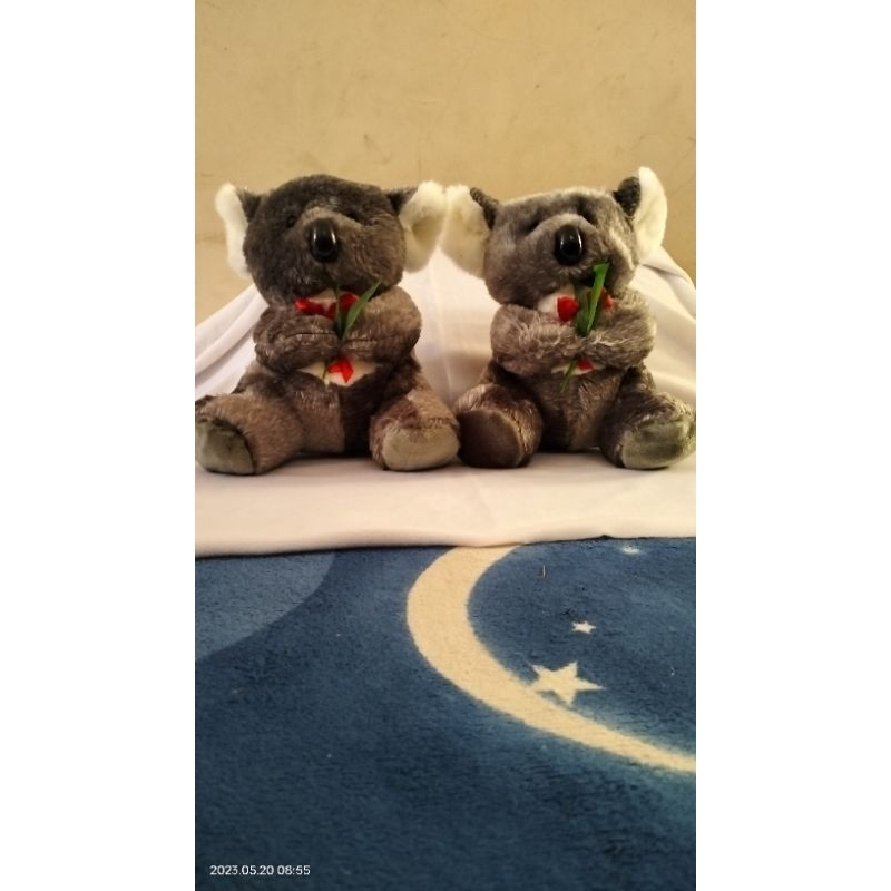 Jual BONEKA KOALA (koala duduk rumput) | Shopee Indonesia