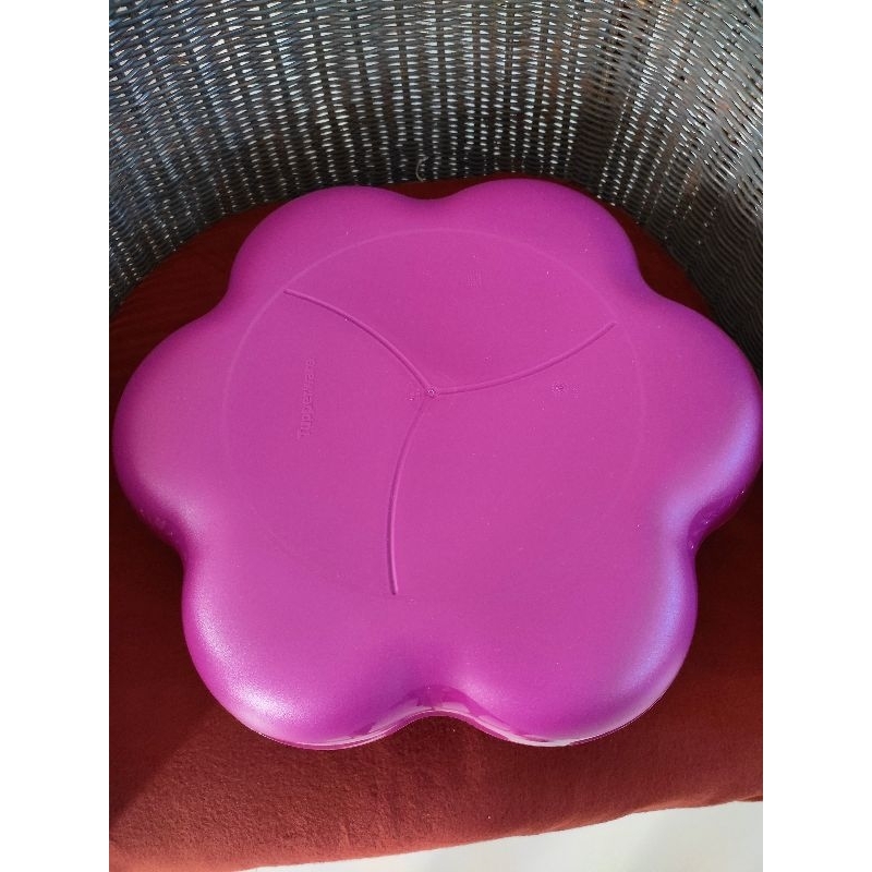 Jual wadah jumbo bunga 8 L | Shopee Indonesia