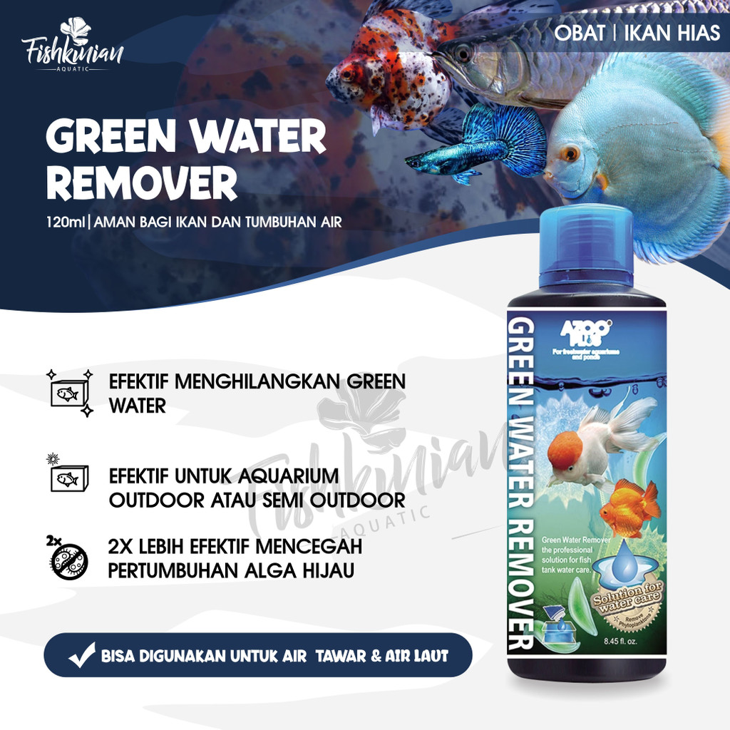 Jual Azoo Plus | Azoo Plus Water Green Remover 120 Ml - Penjernih Air Hijau | Shopee Indonesia