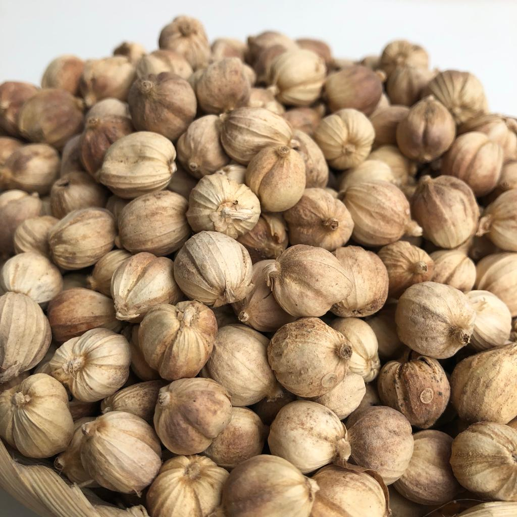 Jual Kapulaga Jumbo Premium Cardamon Rempah Bumbu Dapur 50 100 250 gram ...