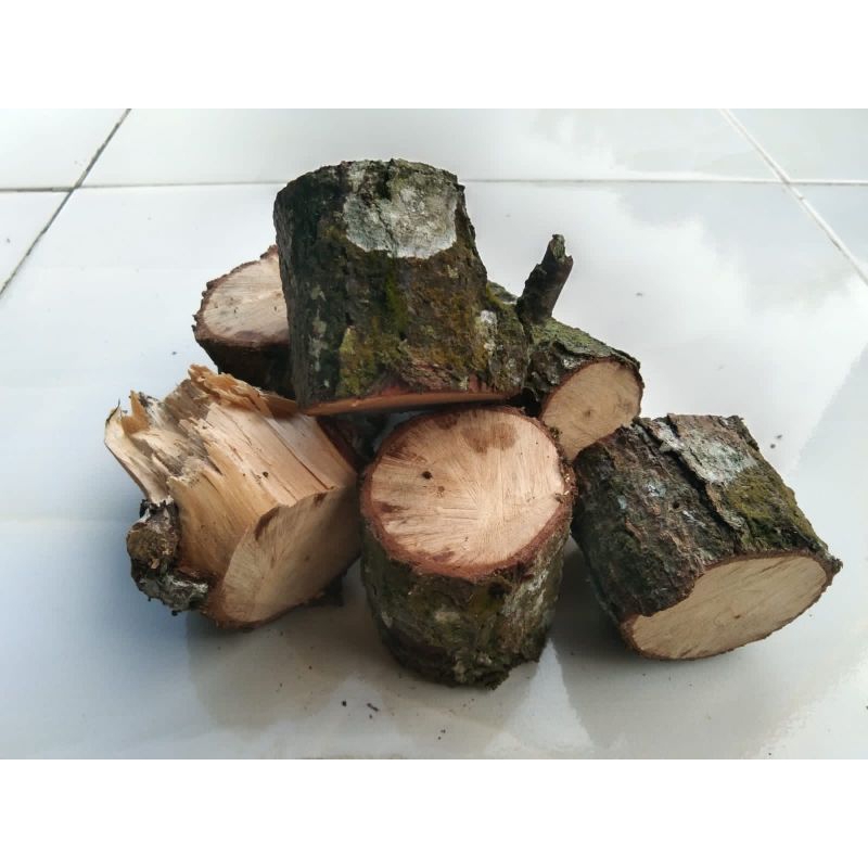 Jual Kayu bakar Pinus BBQ dan Smoker | Shopee Indonesia