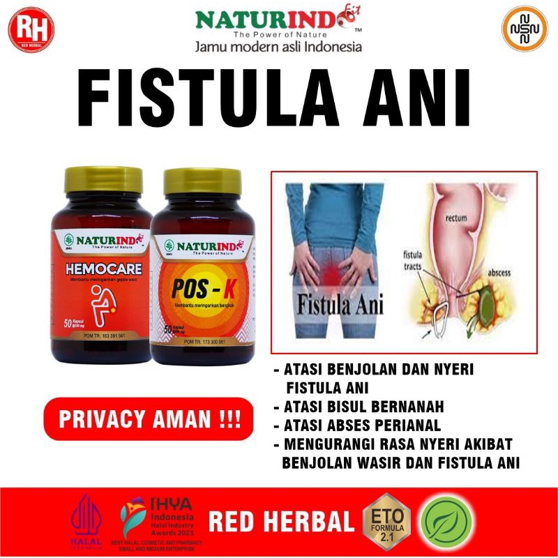 Jual Obat Fistula Ani Bisul Bernanah Berdarah Di Pantat Nyeri Panas ...