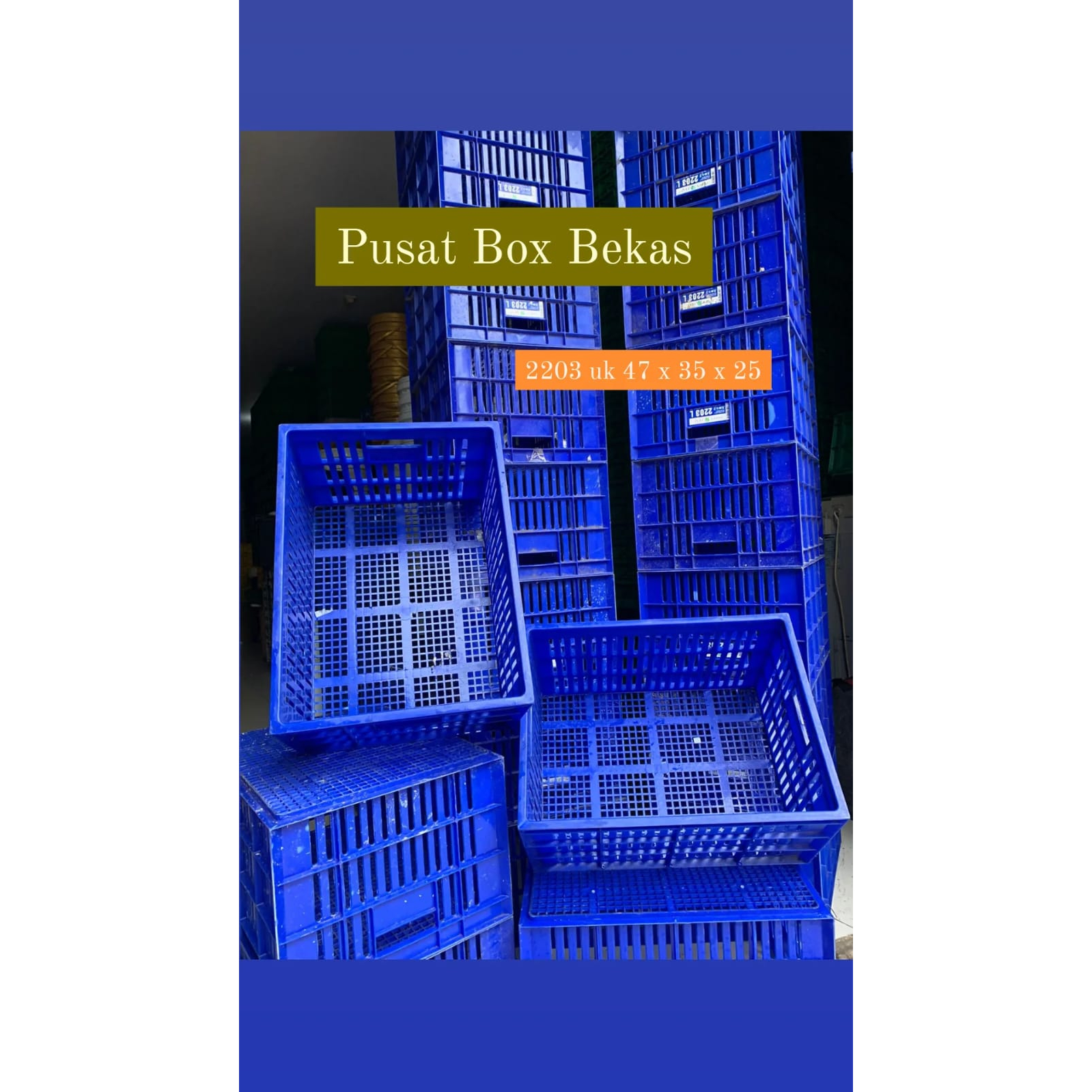 Jual keranjang rabbit plastik 2203 keranjang udang keranjang bekas 2203 ...