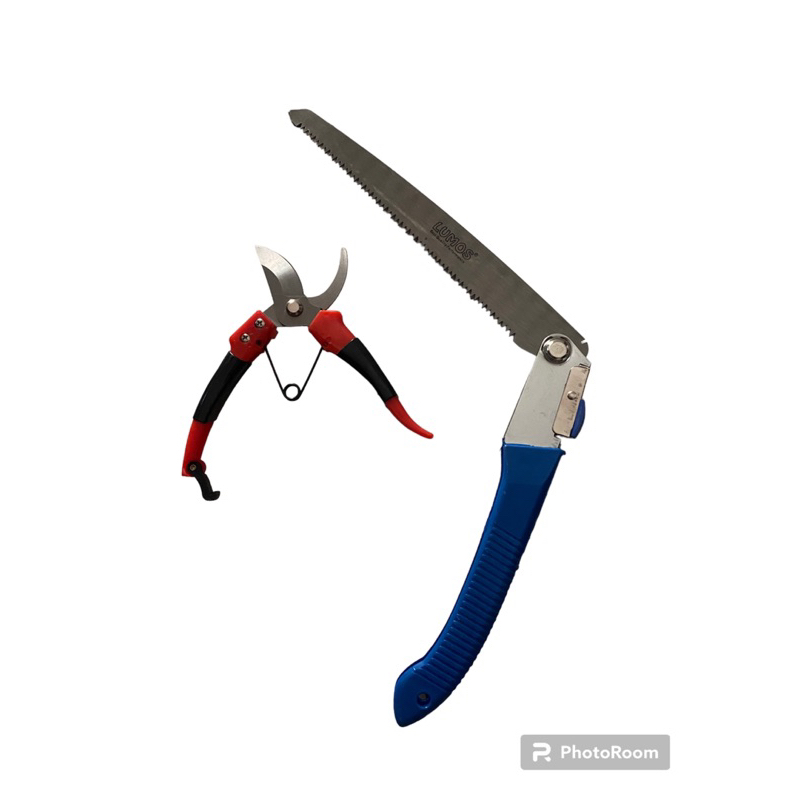Jual paket 2 in 1 Gergaji Dahan Lipat Dan Gunting Dahan Ranting ...