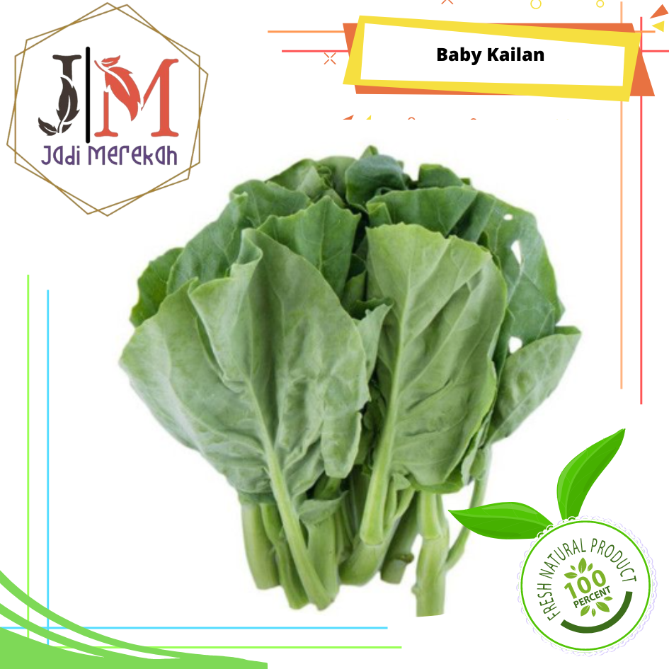 Jual [JM SoFresh] - Sayur Baby Kailan 1kg | Shopee Indonesia