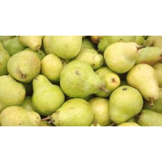 Jual Pir Jambu /kg | Shopee Indonesia
