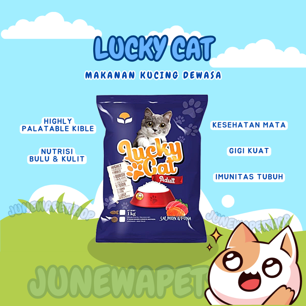 Jual Lucky Cat Makanan Kucing Dry Cat Food | Shopee Indonesia
