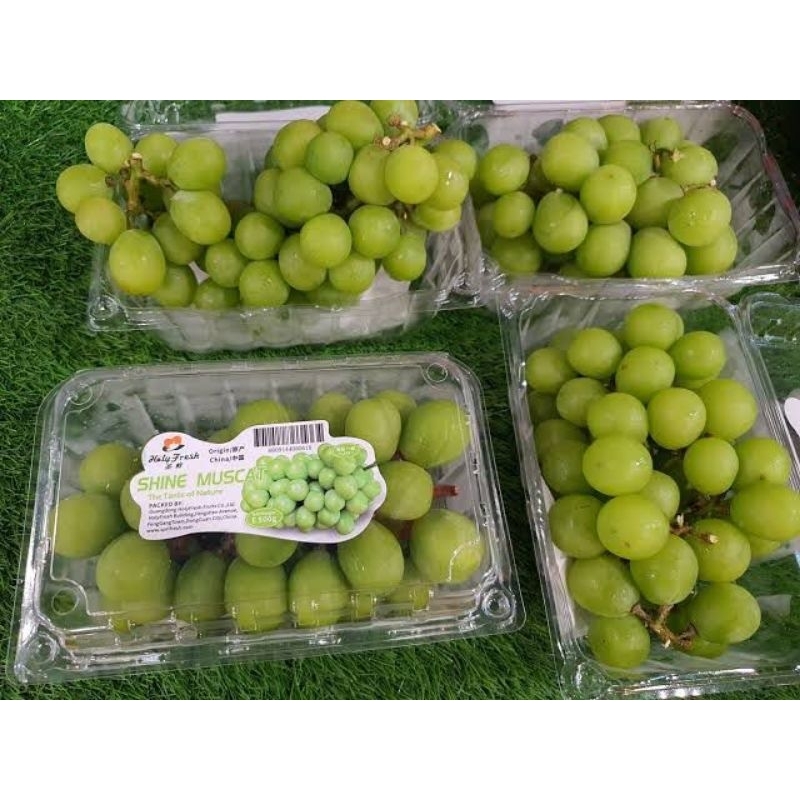 Jual MUSCAT PROMOO!!!anggur shine muscat|anggur ijo|shine muscat grapes ...