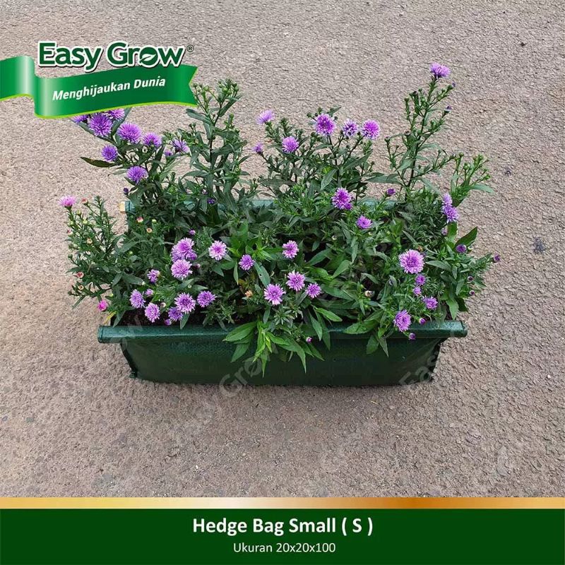 Jual HEDGE (SMALL) PLANTER BAG EASY GROW HIJAU 100 X 20 X 20 cm ...
