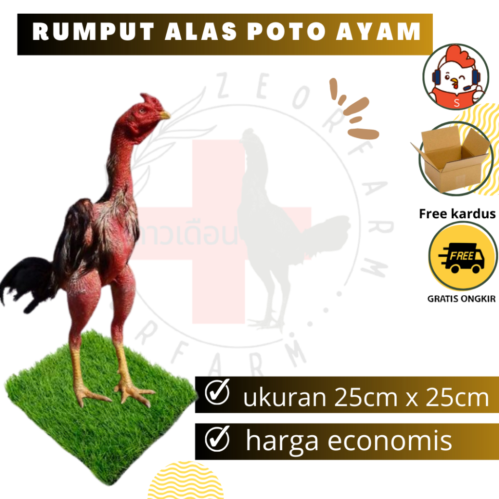 Jual Ratoo Alas Poto Ayam Kucing Dan Lainya Model Rumput Zeorfarm ...
