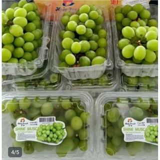 Jual Anggur Muscat Terlengkap & Harga Terbaru Oktober 2025 | Shopee ...
