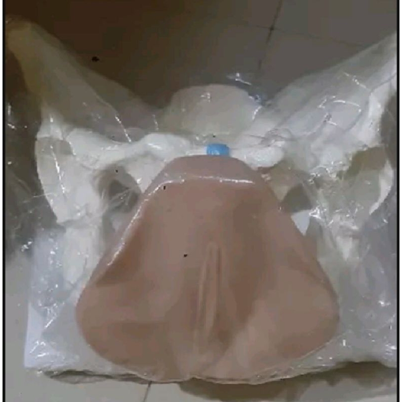 Jual jual alat peraga kerangka panggul wanita/model phantom manikin ... Jual jual alat peraga kerangka panggul wanita/model phantom manikin ...