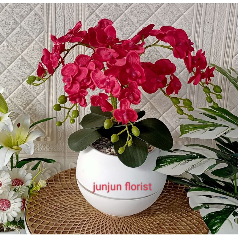 Jual bunga anggrek bulan kain artificial pot Bola//bunga anggrek ...