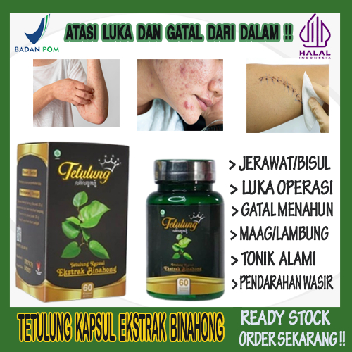 Jual Obat Bisul Darah Kotor, Borok Obat Bisul Bernanah Tetulung Kapsul ...