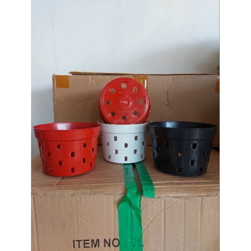 Jual Pot Dendro 15 cm Pot Anggrek Pot Lubang Banyak harga GROSIR ...