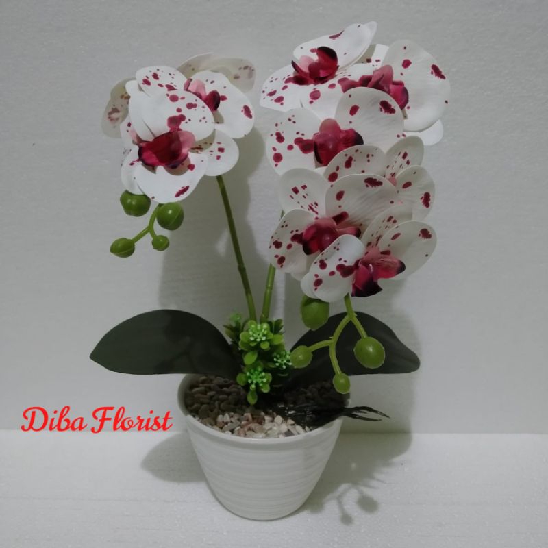 Jual Bunga Anggrek Latex 2 Cabang Dekorasi Rumah Bunga | Shopee Indonesia