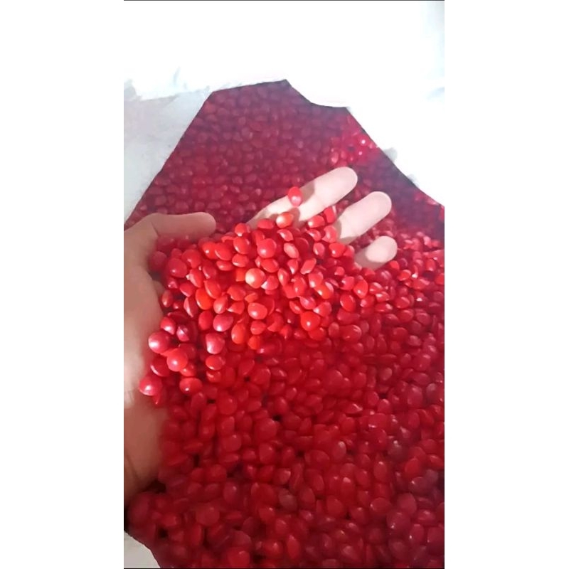 Jual biji merah biji saga | Shopee Indonesia