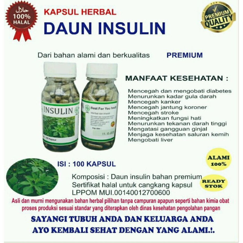 Jual herbal daun insulin anti diabetes & menjaga fungsi hati isi 100 ...