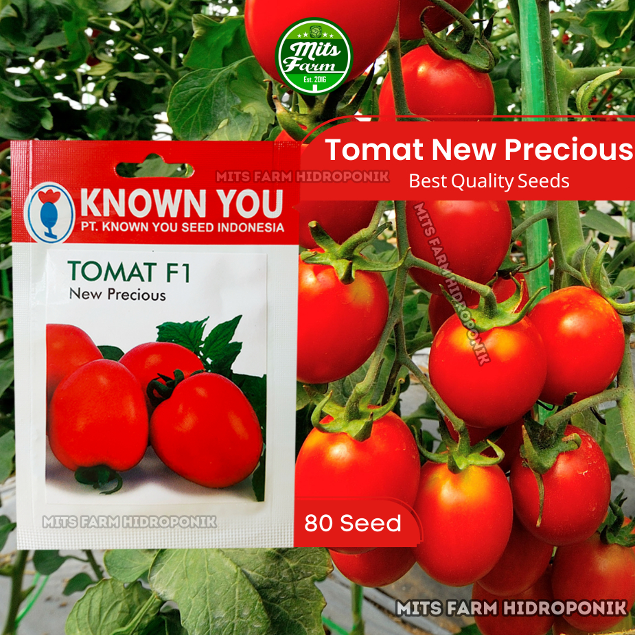 Jual Benih Tomat Mini Floridity - Known You Seed | Shopee Indonesia