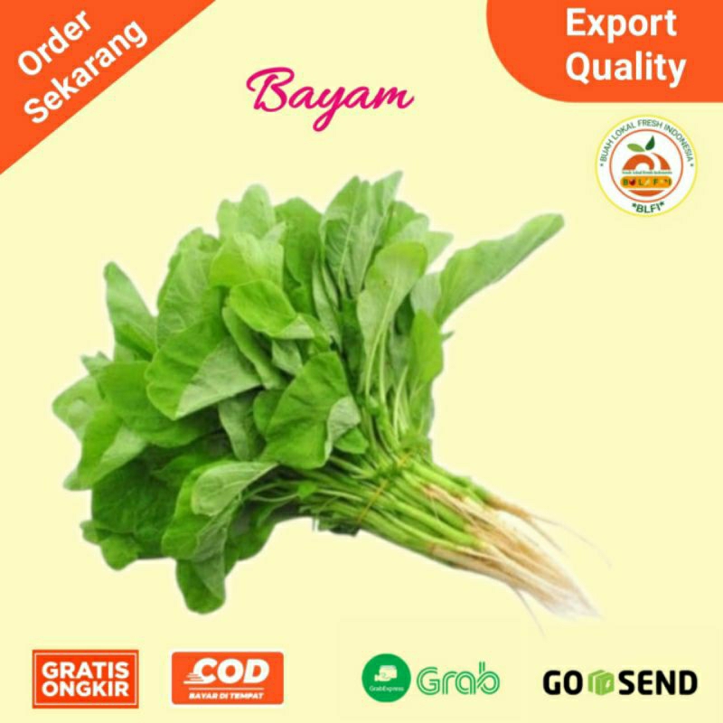 Jual SAYUR BAYAM 1IKAT ( 100-150gram) | Shopee Indonesia