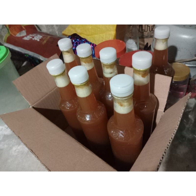 Jual TRIGONA ASLI RONGKONG SULAWESI LEBAH ENDEMIK SULAWESI | Shopee ...
