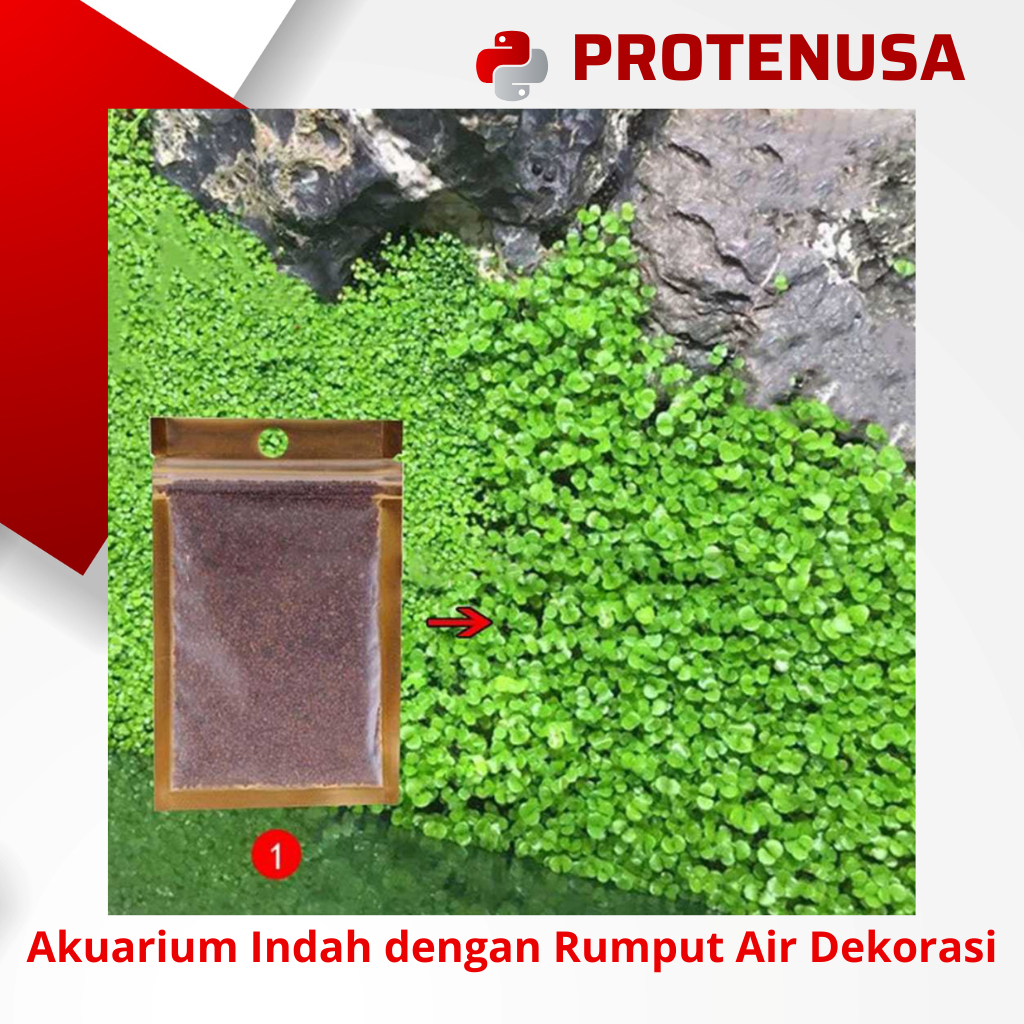 Jual 𝐑𝐮𝐦𝐩𝐮𝐭 𝐀𝐢𝐫 𝐃𝐞𝐤𝐨𝐫𝐚𝐬𝐢 𝐀𝐤𝐮𝐚𝐫𝐢𝐮𝐦 - 𝐓𝐚𝐦𝐛𝐚𝐡𝐤𝐚𝐧 𝐒𝐞𝐧𝐭𝐮𝐡𝐚𝐧 𝐇𝐢𝐣𝐚𝐮 𝐀𝐥𝐚𝐦𝐢 𝐩𝐚𝐝𝐚 ...