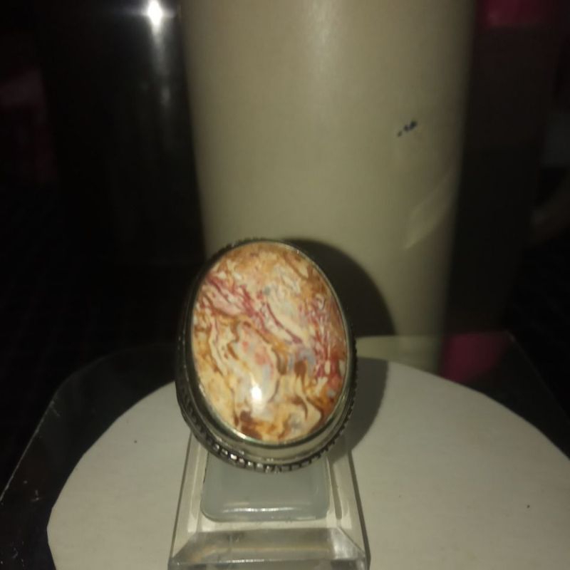 Jual Batu Fosil kayu | Shopee Indonesia