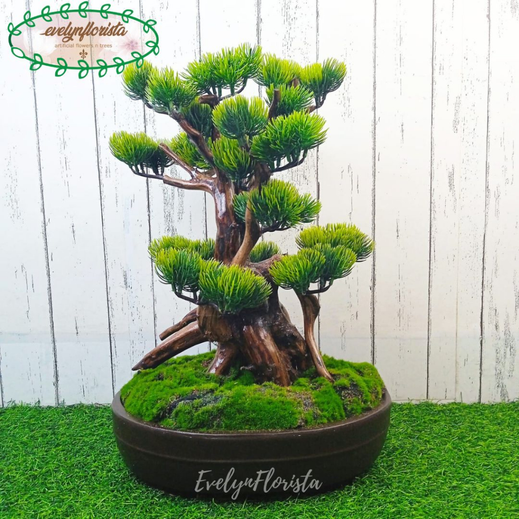 Jual Pohon Hias Tanaman Artificial Bonsai Lohansung Latex Pot Semen ...