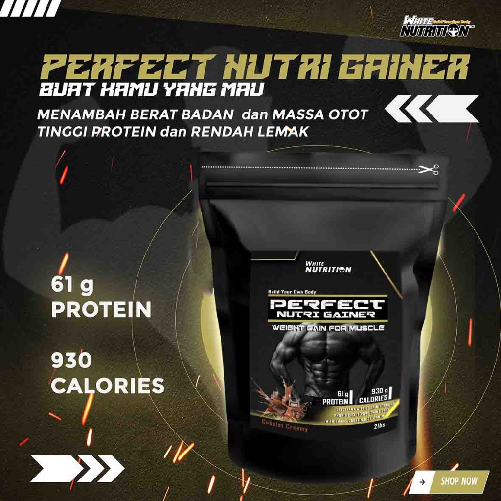 Jual Perfect Nutri Gainer 2lbs Free Shaker | Shopee Indonesia