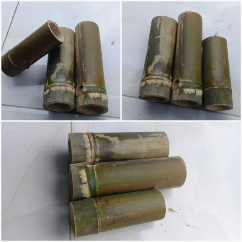 Jual Potongan bambu dengan mata tunas bahan kerajinan | Shopee Indonesia