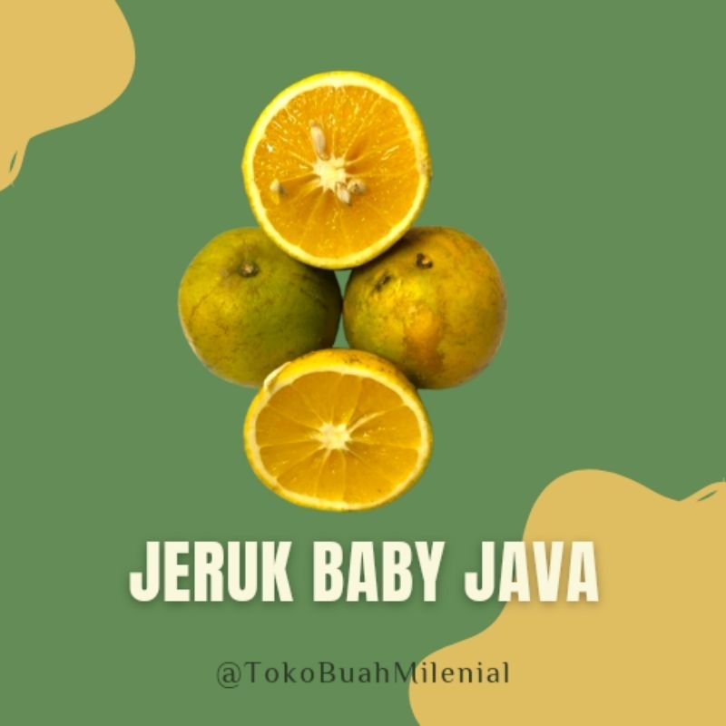 Jual (1Kg) Jeruk Baby Java Malang Manis Jeruk Peras MPASI Bayi | Shopee ...