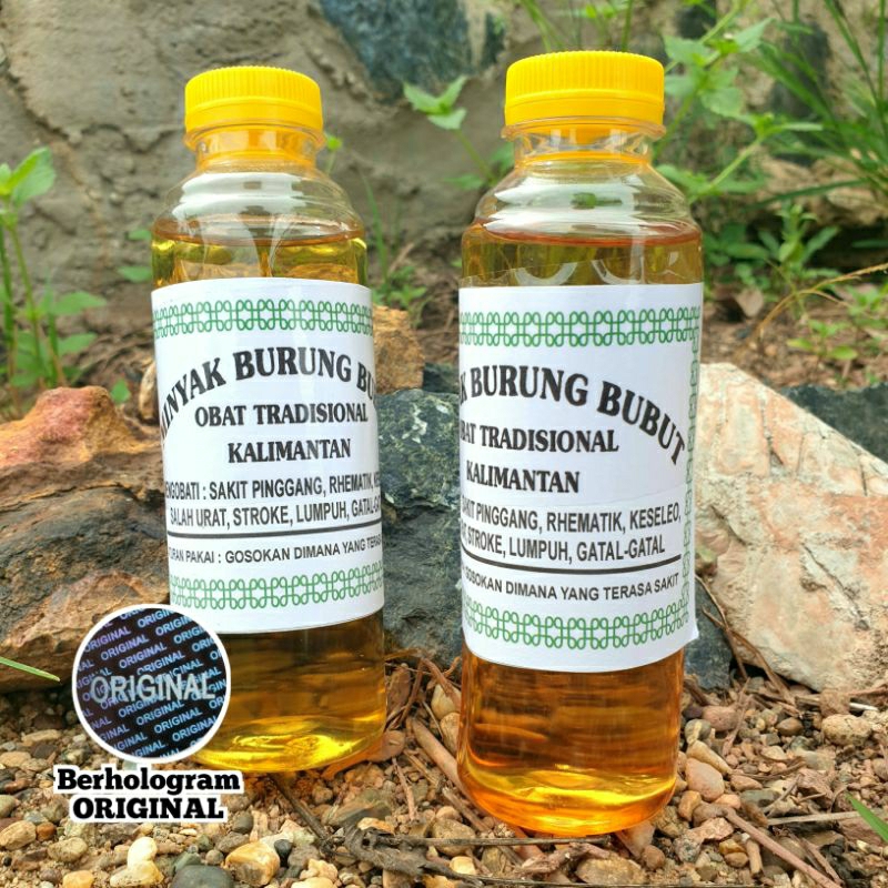 Jual Minyak burung bubut asli herbal khas kalimantan - Minyak pijat ...