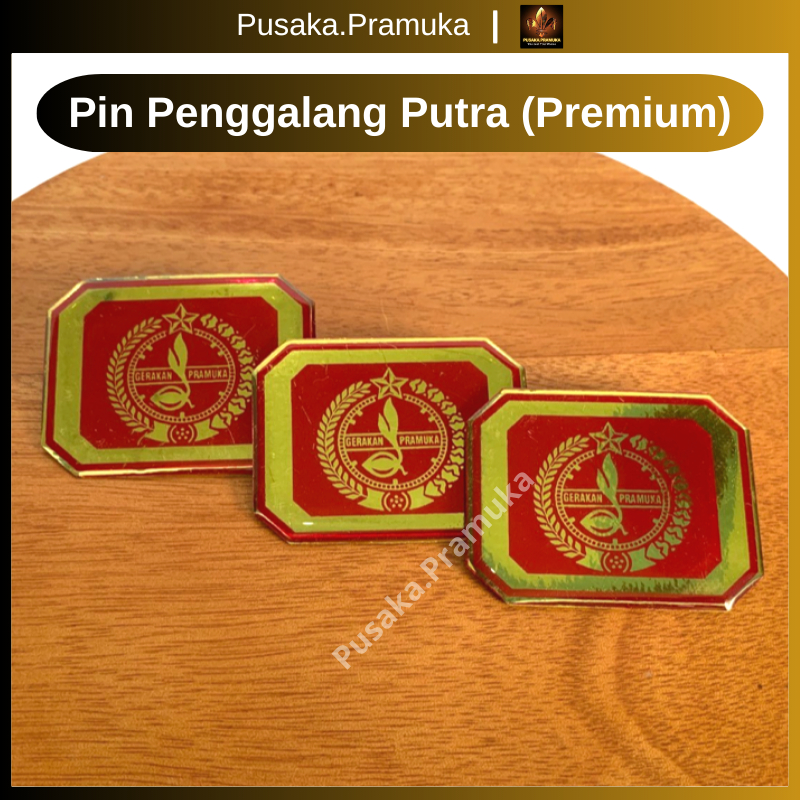 Jual Pin Topi Putra Putri Pramuka Siaga, Penggalang, Penegak / Pin Topi ...